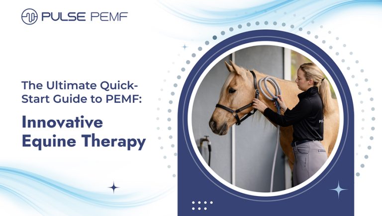 The Ultimate Quick-Start Guide to PEMF: Innovative Equine Therapy