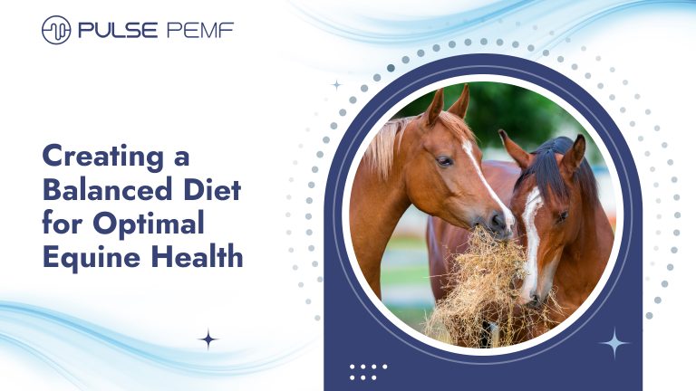 Creating a Balanced Diet for Optimal Equine Health - Pulse PEMF