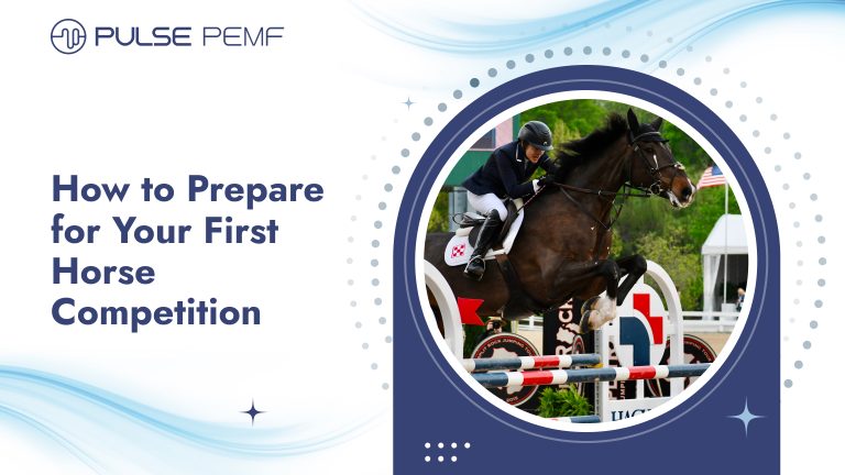 How to Prepare for Your First Horse Competition - Pulse PEMF
